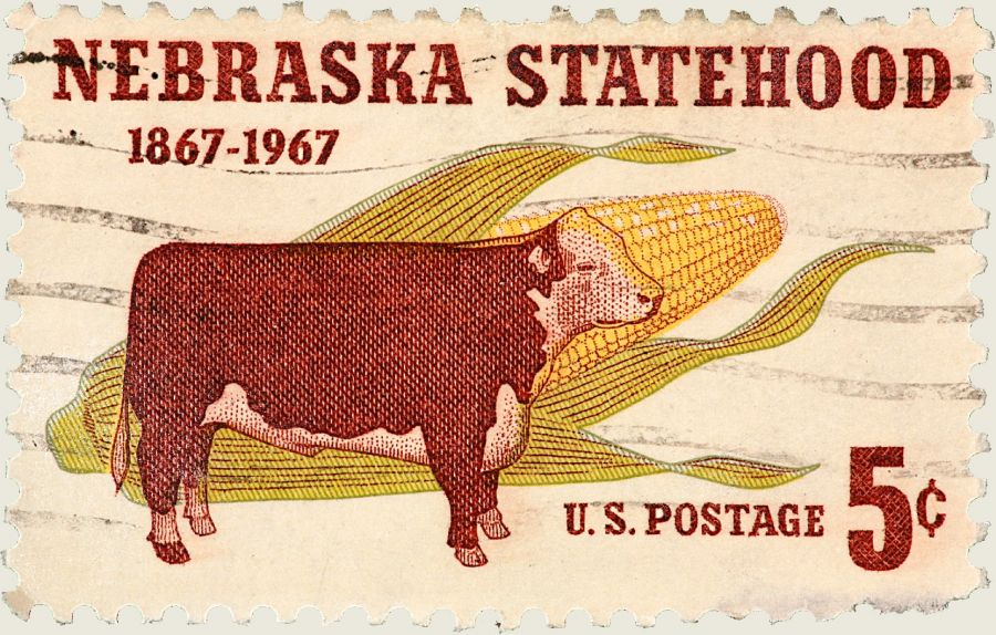 Bestes US Nebraska Beef | Albers Food